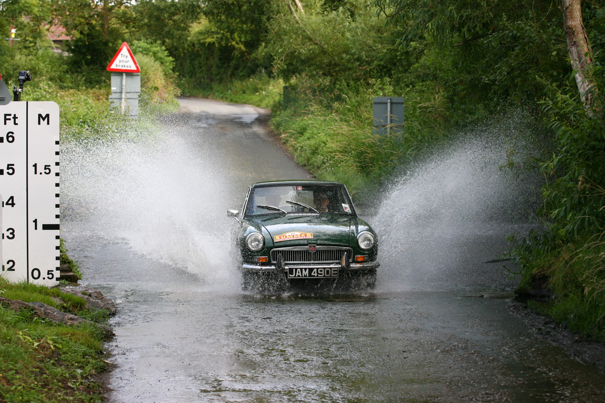 How to carbon offset a car's emissions | Hagerty UK