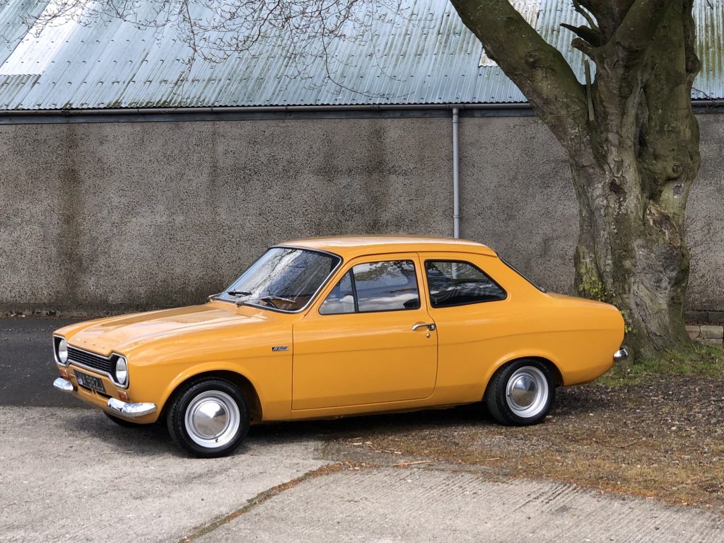 Outstanding in its field: Maize yellow Escort RS1600 heads to auction ...