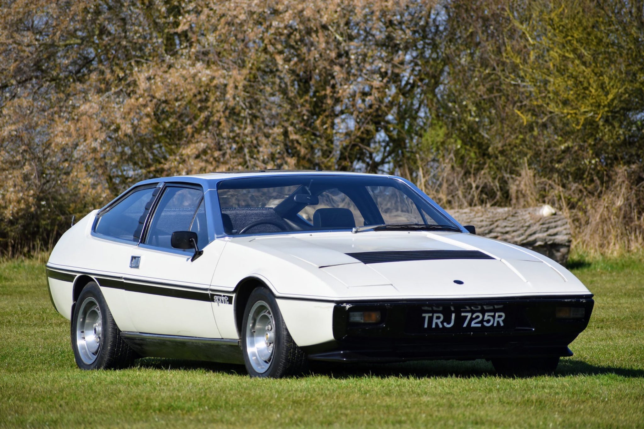 Buying Guide: Lotus Elite, Eclat, and Excel (1974–1992) | Hagerty UK