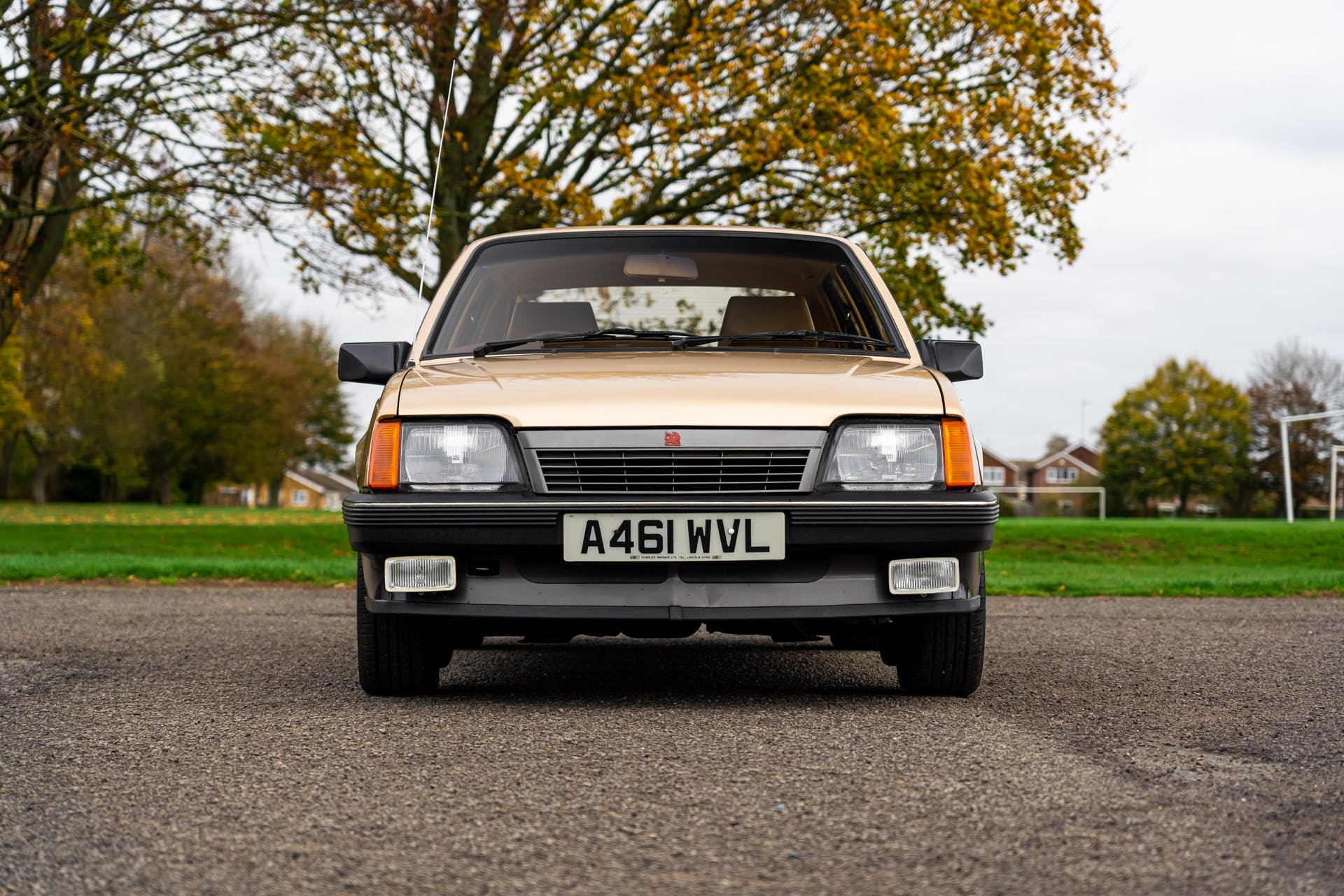 White Gold: The Vauxhall Cavalier SRi was 'a damn good car' | Hagerty UK