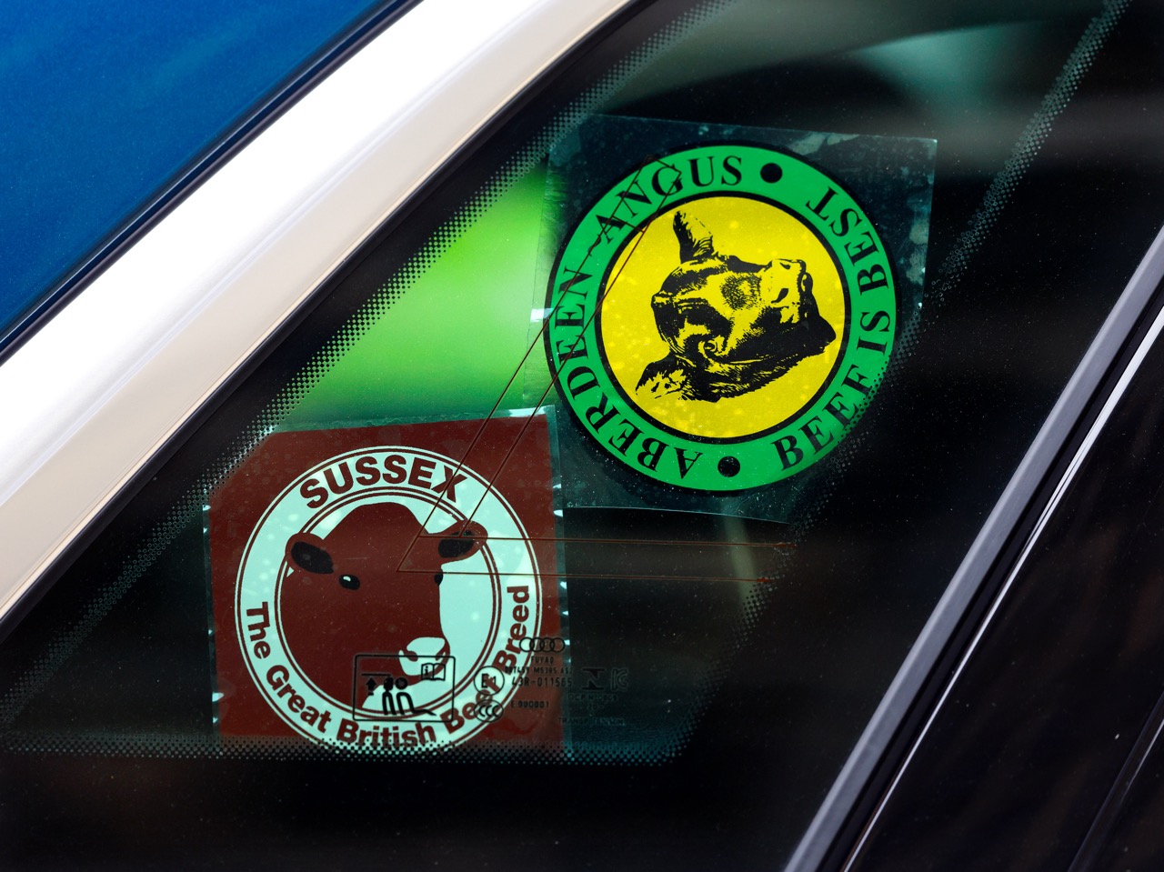 What Do Your Bumper Stickers Say about You? | Hagerty UK