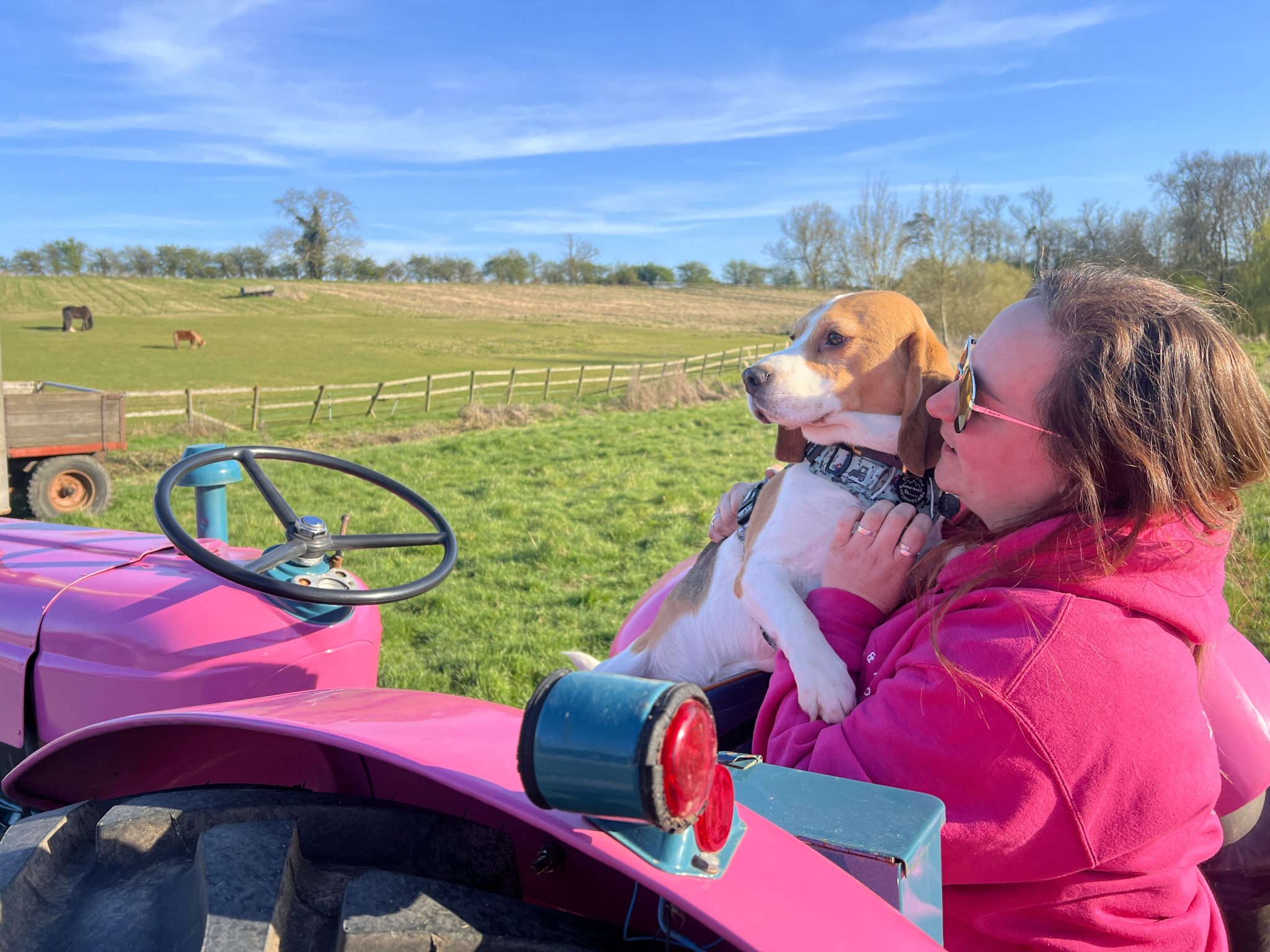 Let this Little Pink Tractor be a Lesson to Us All | Hagerty UK